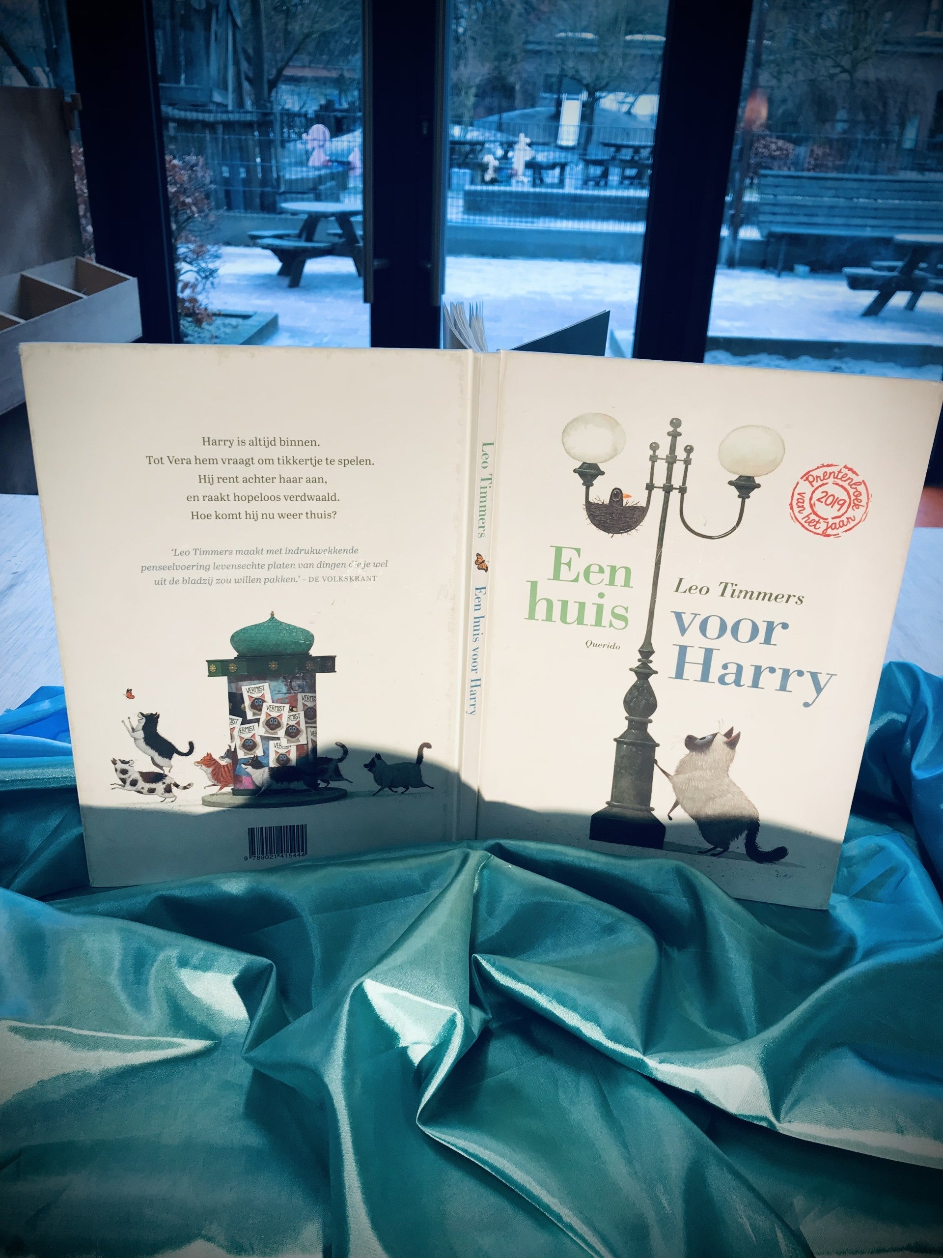 Werken met een rijk prentenboek “Een huis voor Harry” – The Mini Story