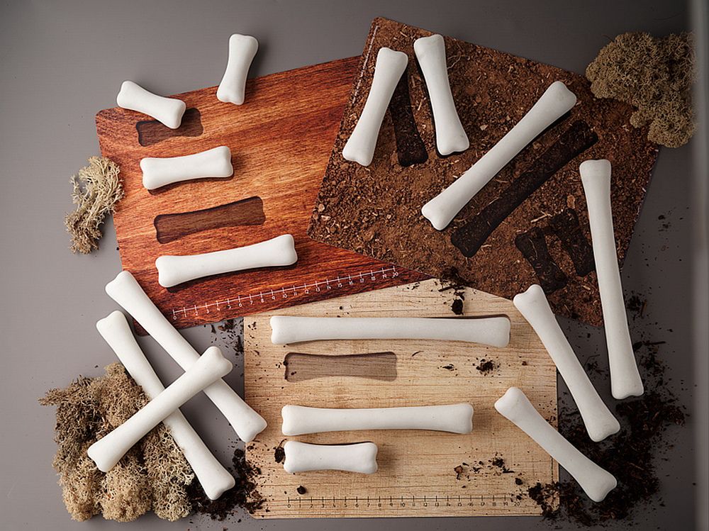 Yellow Door dinosaurus botten meten – The Mini Story