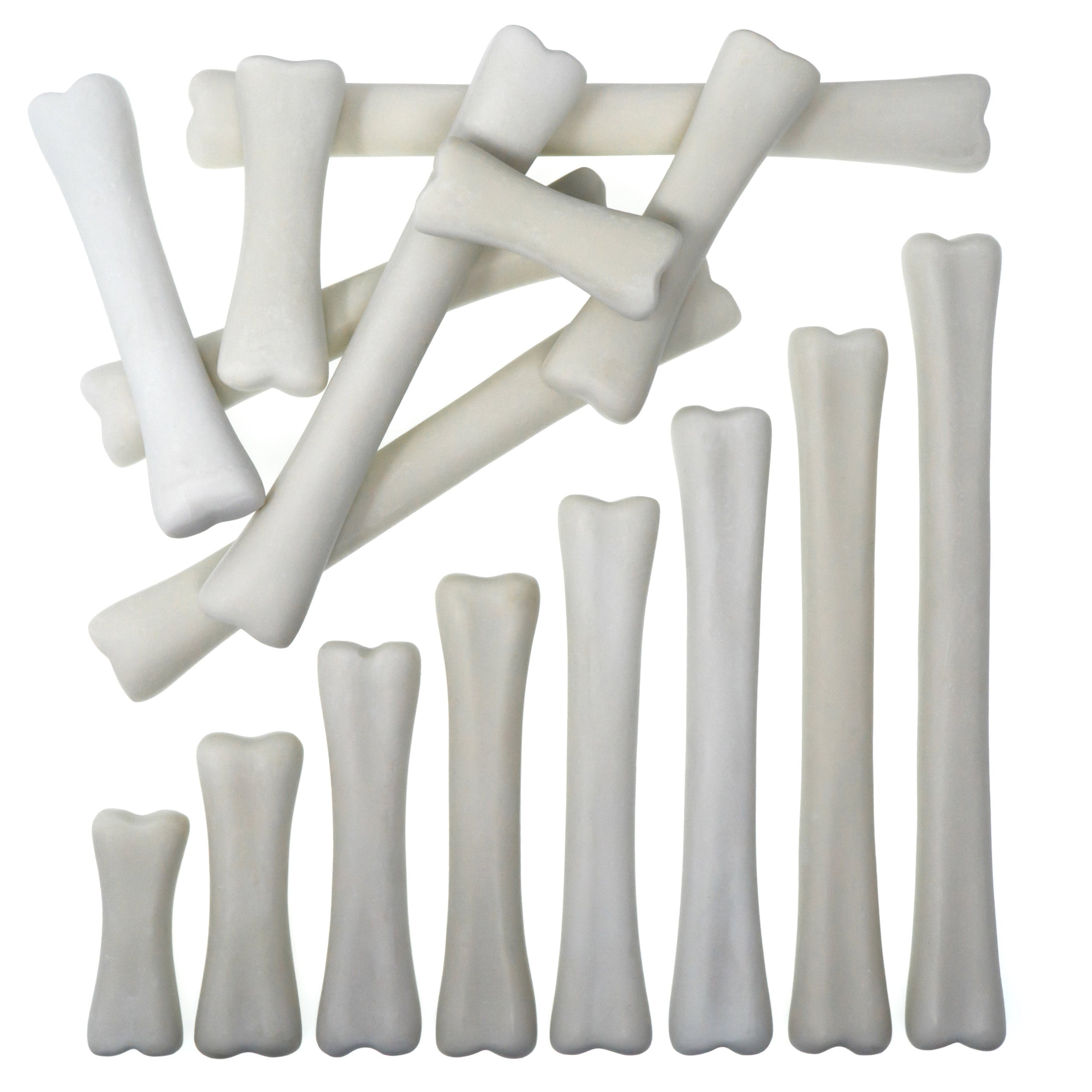 Dinosaur Bones Match and Measure Set – The Mini Story